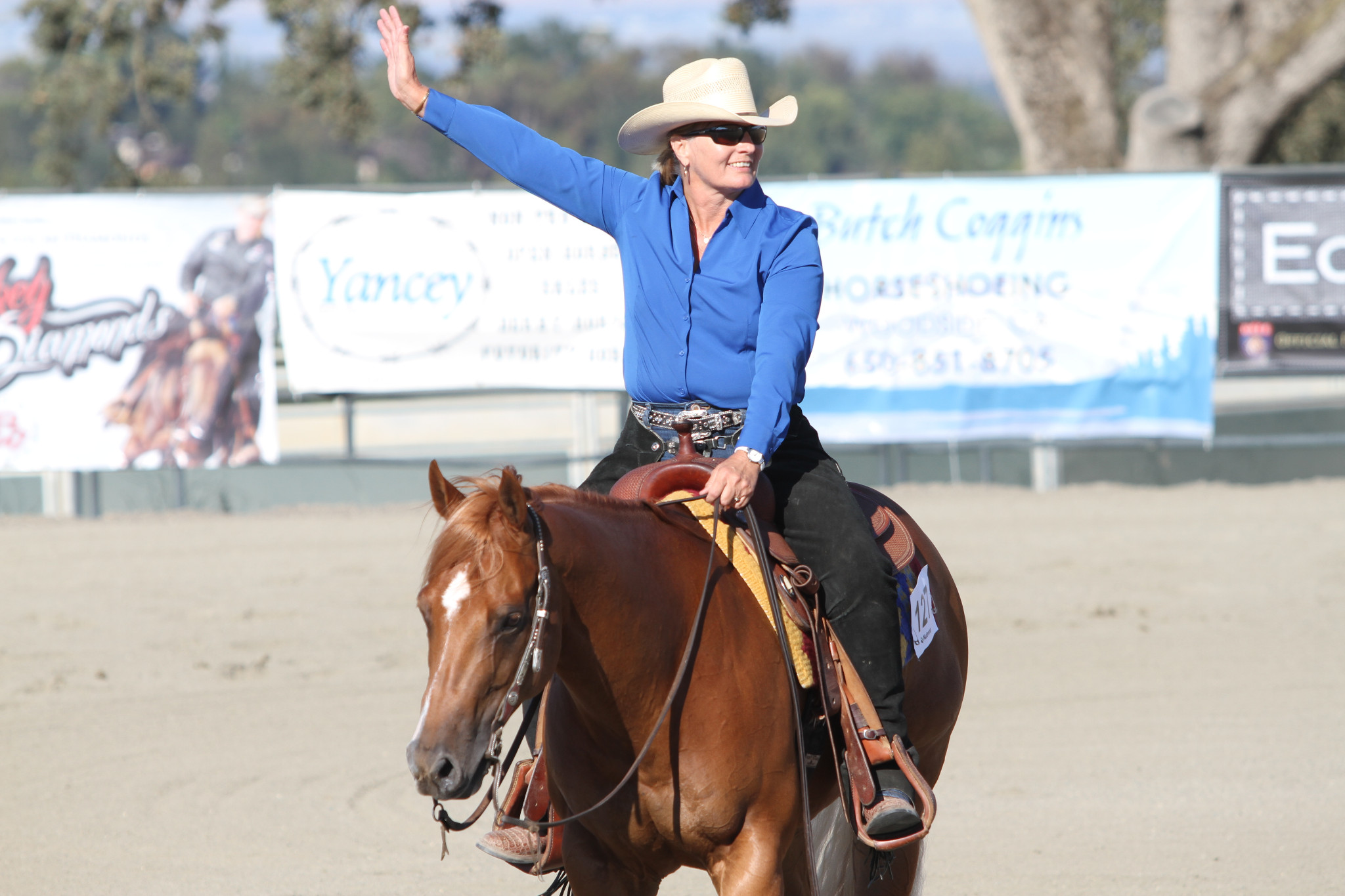 Reining by the Bay 288 – WCRHA